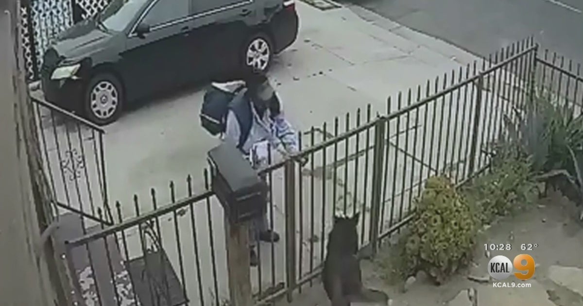 VIDEO: Home Security Camera Catches Mail Carrier Pepper-Spraying Dog In ...
