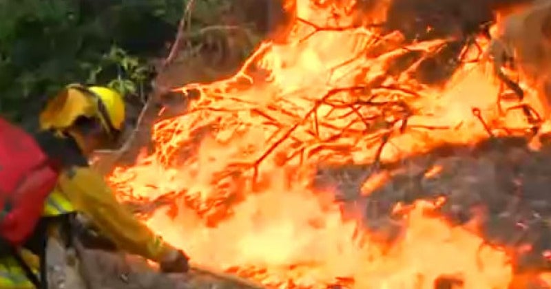 West Coast Faces Heat Wave This Week As Wildfires Rage - Good Day ...