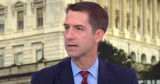 Republican Tom Cotton proposes cash stipend for families amid ...