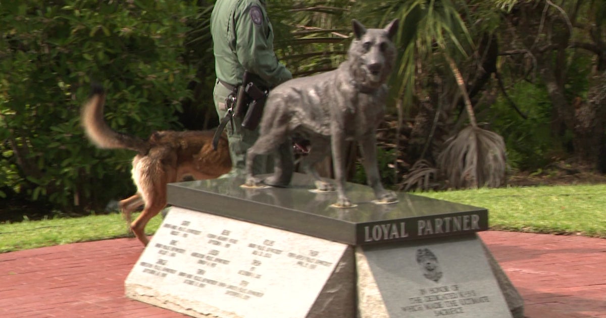 Memorial Held To Honor Fallen K9 Officers In Miami-Dade - CBS Miami