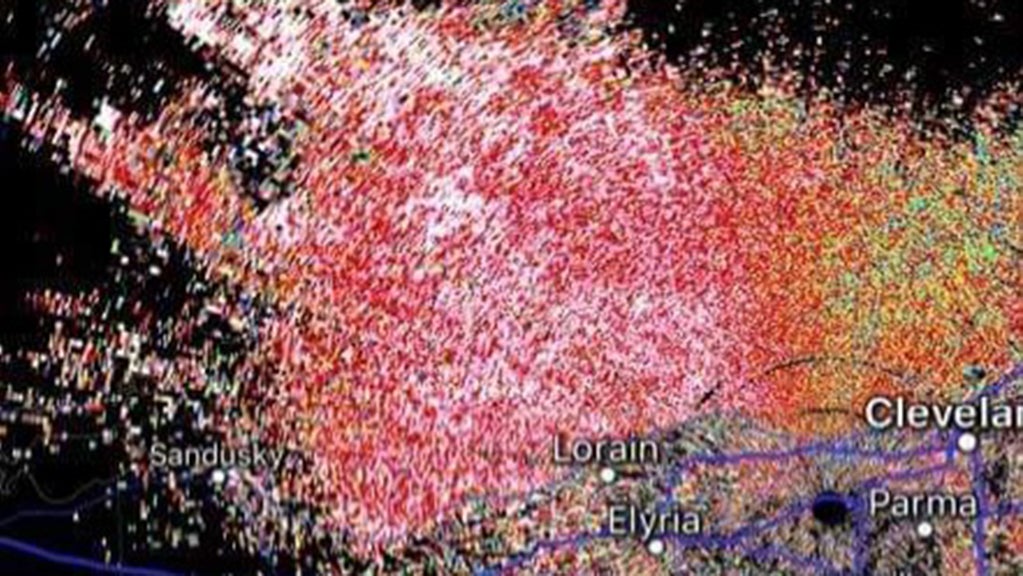 MAYFLY MADNESS: Incredible Photos Show Swarms Of Mayflies Invading Ohio ...