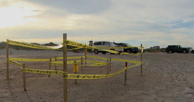 Beachgoers beware: Drivers pose potentially deadly danger on the sand ...