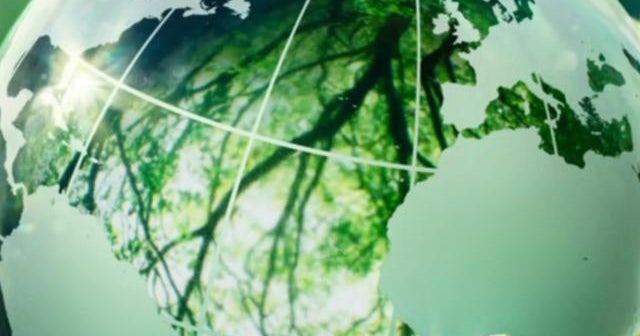 New study suggests planting billions of trees to fight climate change ...