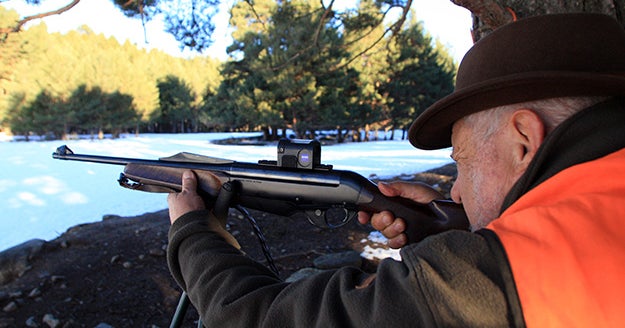 Michigan Deer Hunters Listen Up, New Rules In Place To Halt Disease ...