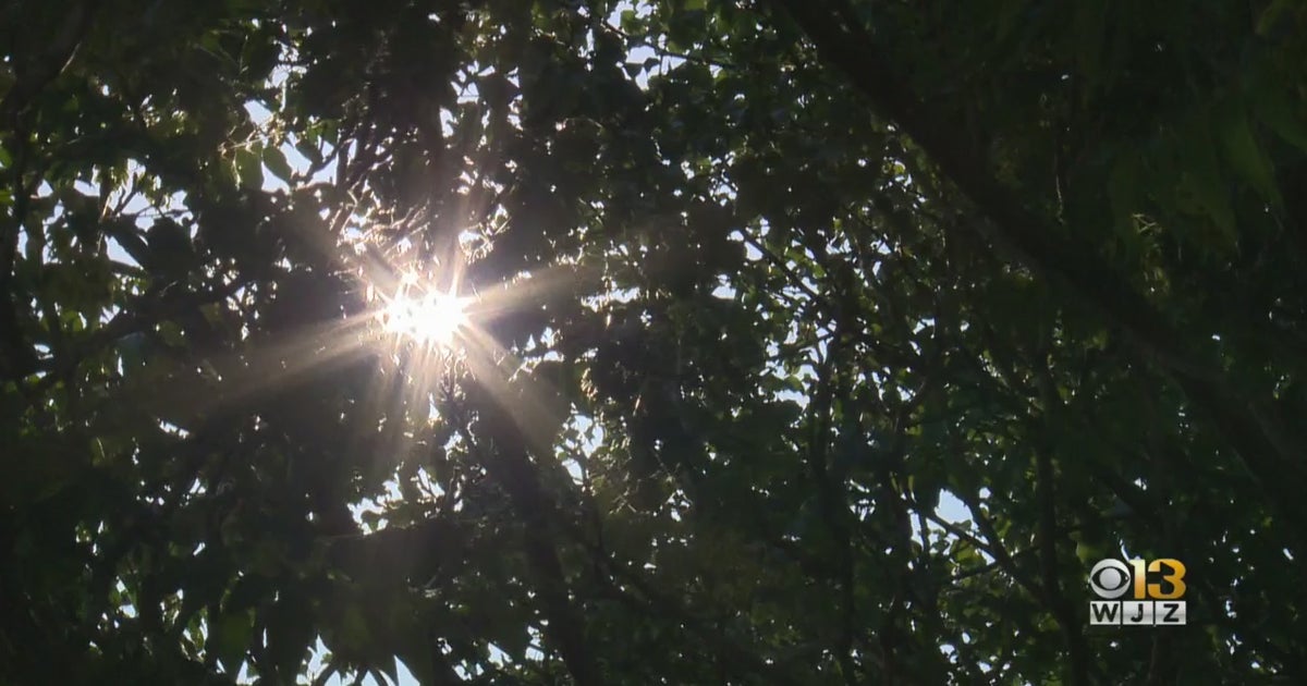 Maryland Weather | Unseasonably Warm Weather Breaks All-Time Record At ...