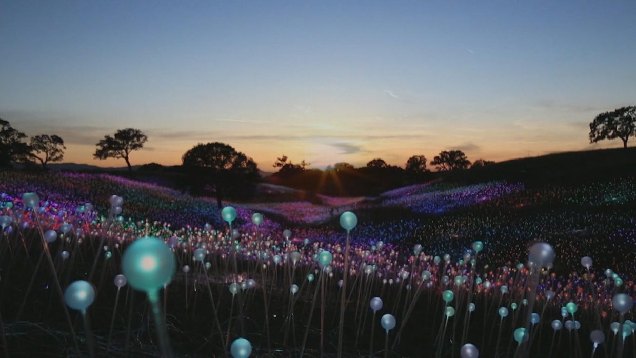 American Wonders: California's glowing "Field of Light" - CBS News