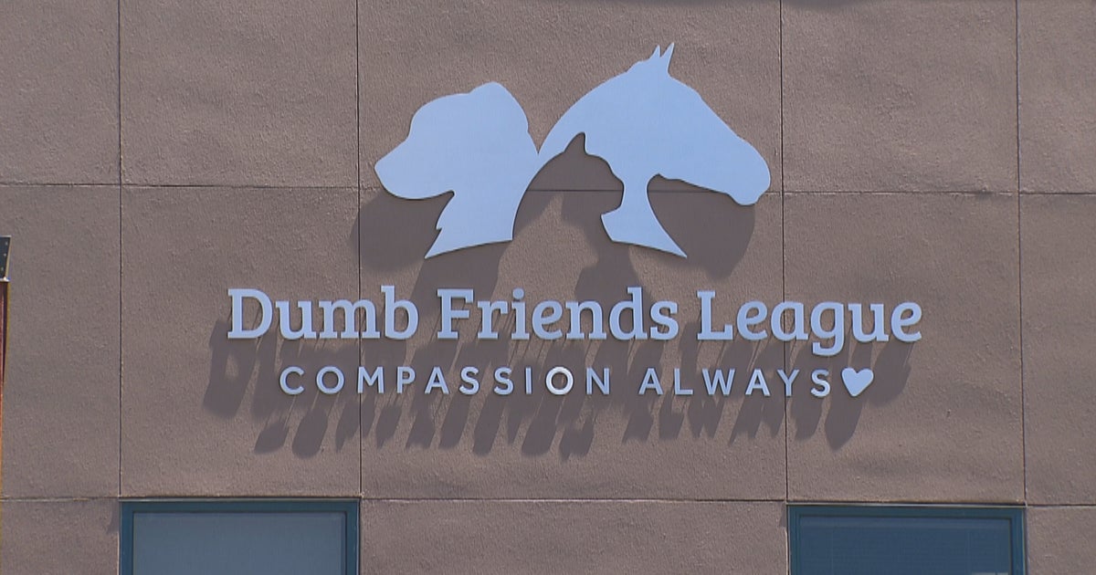 Dumb Friends League To Get A Facelift On Day Of Service - CBS Colorado