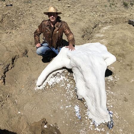 Triceratops skull found: College biology student Harrison Duran ...