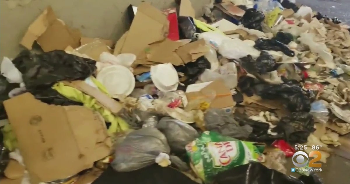 Frustrated Family Members Take It Upon Themselves To Rid Their Bronx ...