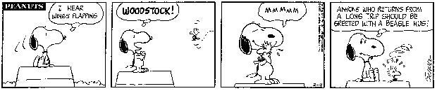 How the Peanuts character Woodstock got his name - CBS News