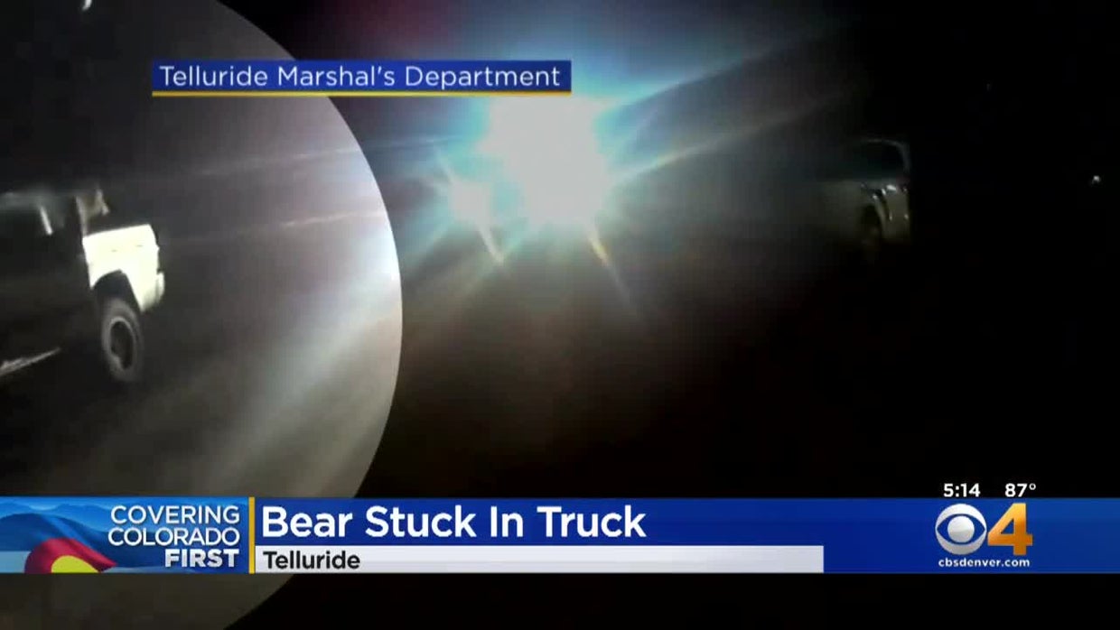 Hungry Bear Escapes From Truck In Telluride Thanks To Rope, Help From ...