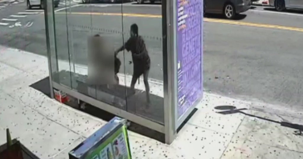 Caught On Camera: Woman's Purse Snatched From Her Hands At Brooklyn Bus ...