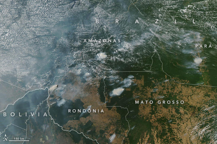Amazon rainforest on fire: Parts of the Amazon rainforest are on fire ...