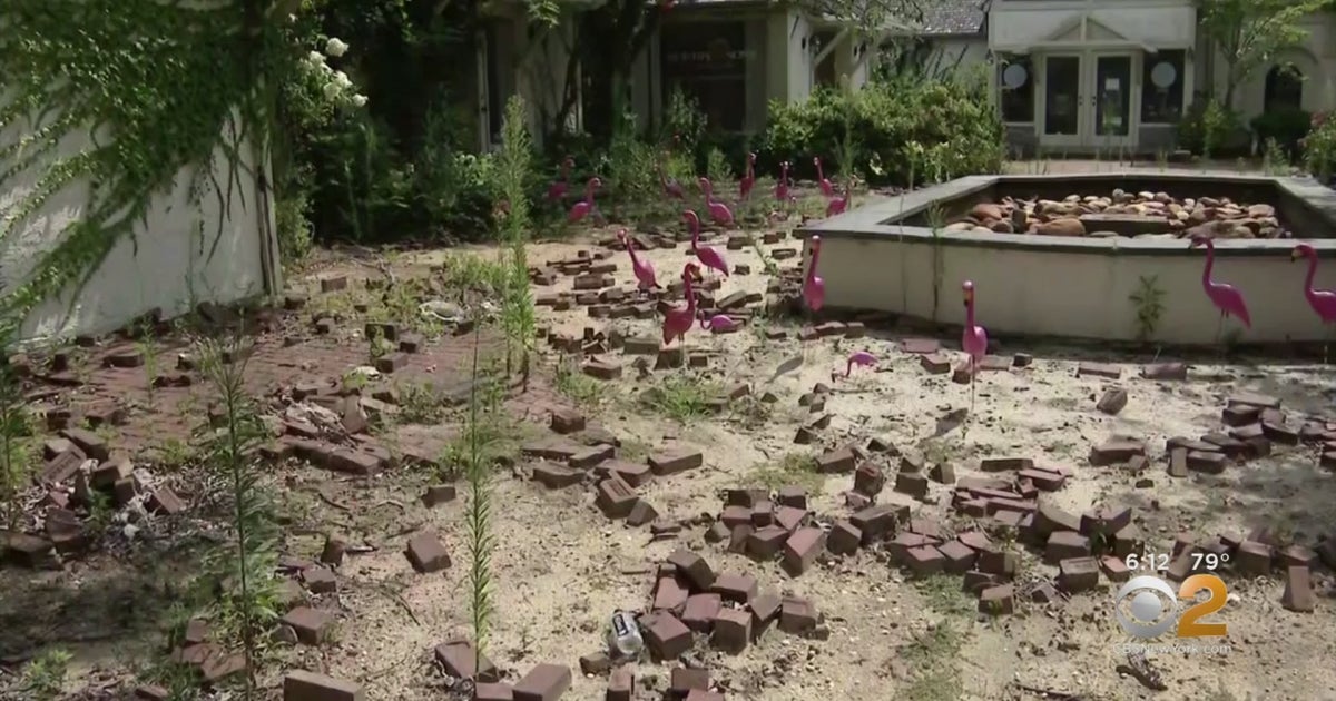 Long Island Property Owner Accused Of Ruining His Courtyard On Purpose ...