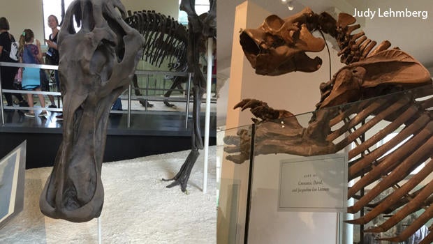 Nature up close: A trip to the American Museum of Natural History - CBS ...