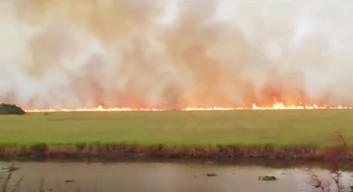 Pictures from the Amazon rainforest fires in Brazil