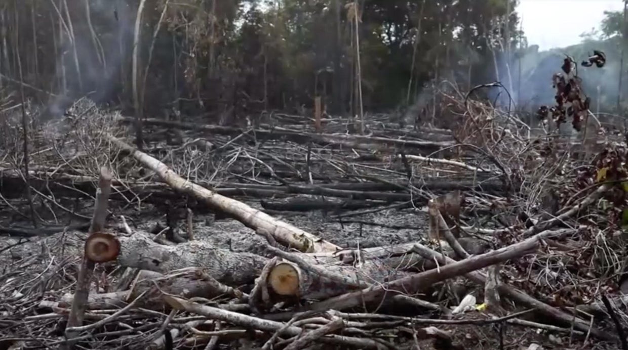 Pictures from the Amazon rainforest fires in Brazil