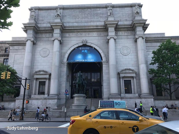 Nature up close: A trip to the American Museum of Natural History - CBS ...