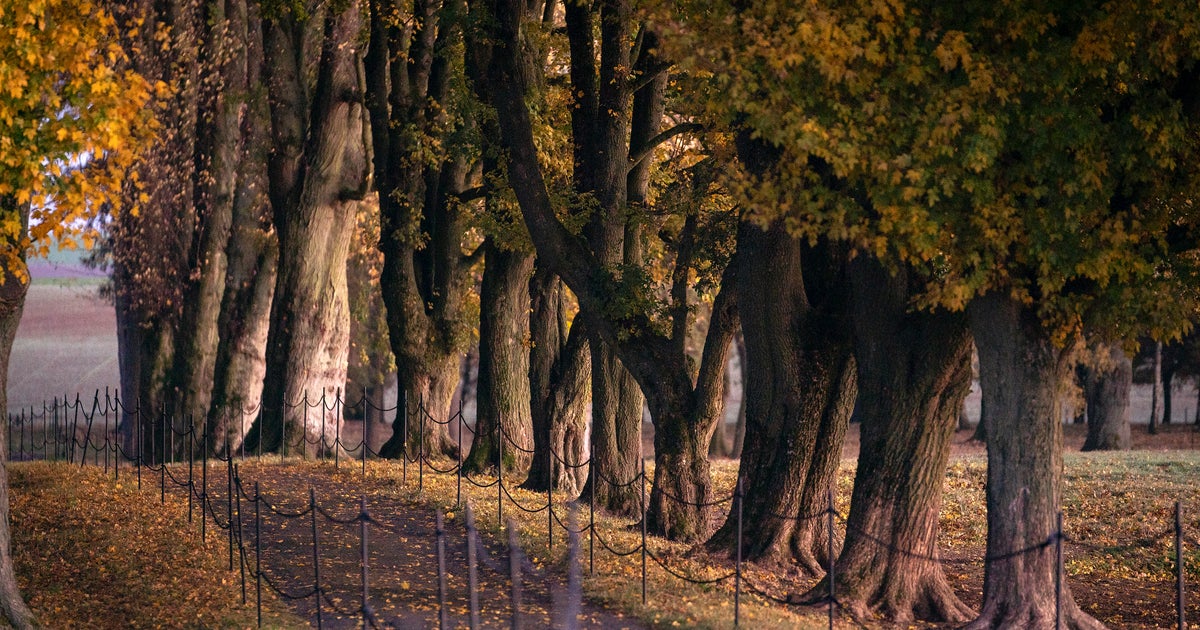 Fall Festivals In Philadelphia Area To Keep You Busy Throughout Season ...