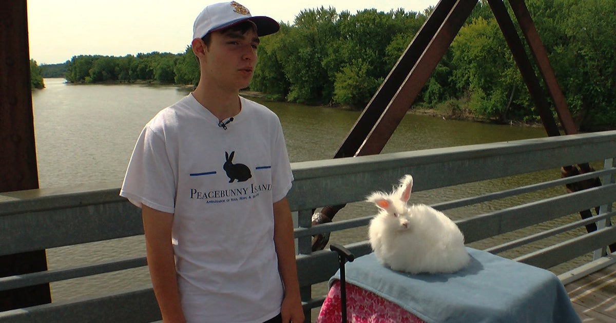 'Hugs, Hope, Hoppiness': Teen Turns Passion For Rabbits Into Nonprofit ...
