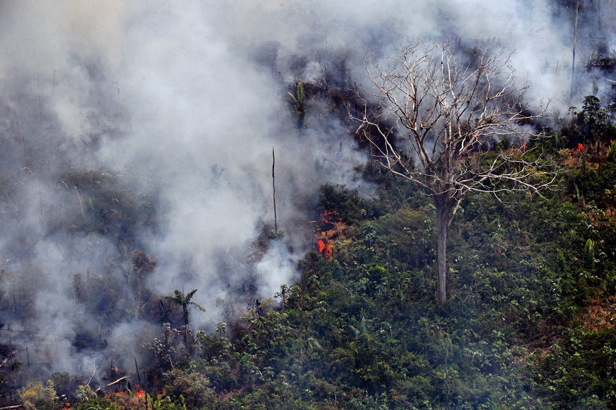 Amazon rainforest fires sharply increased in June – raising concerns ...