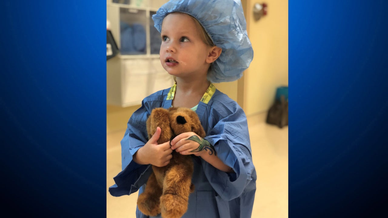 Teddy Bear Patrol news - Today’s latest updates - CBS Colorado