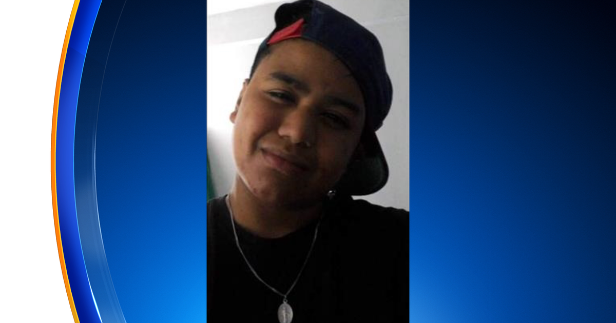 MISSING: Annette Ladesma, 24, Last Seen In July - CBS Chicago