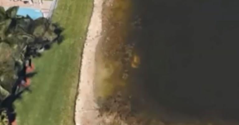 Google Earth leads to remains of William Moldt, missing since 1997, in ...