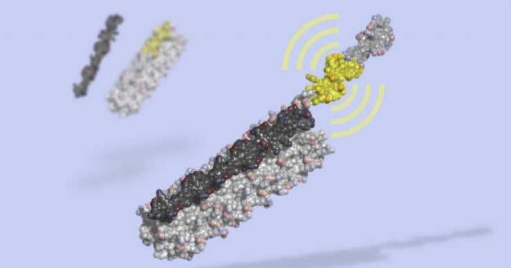 'Limitless Potential' Of Artificial Protein Ushers In New Era of 'Smart ...