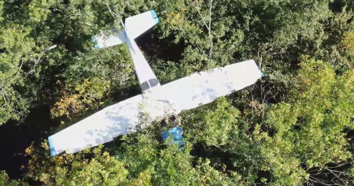 Pilot Rescued After Small Plane Crash Lands In Treetops In New Jersey ...
