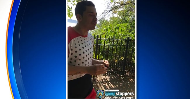 Police: Witness Confronts Man Caught Touching Himself Near Brooklyn ...