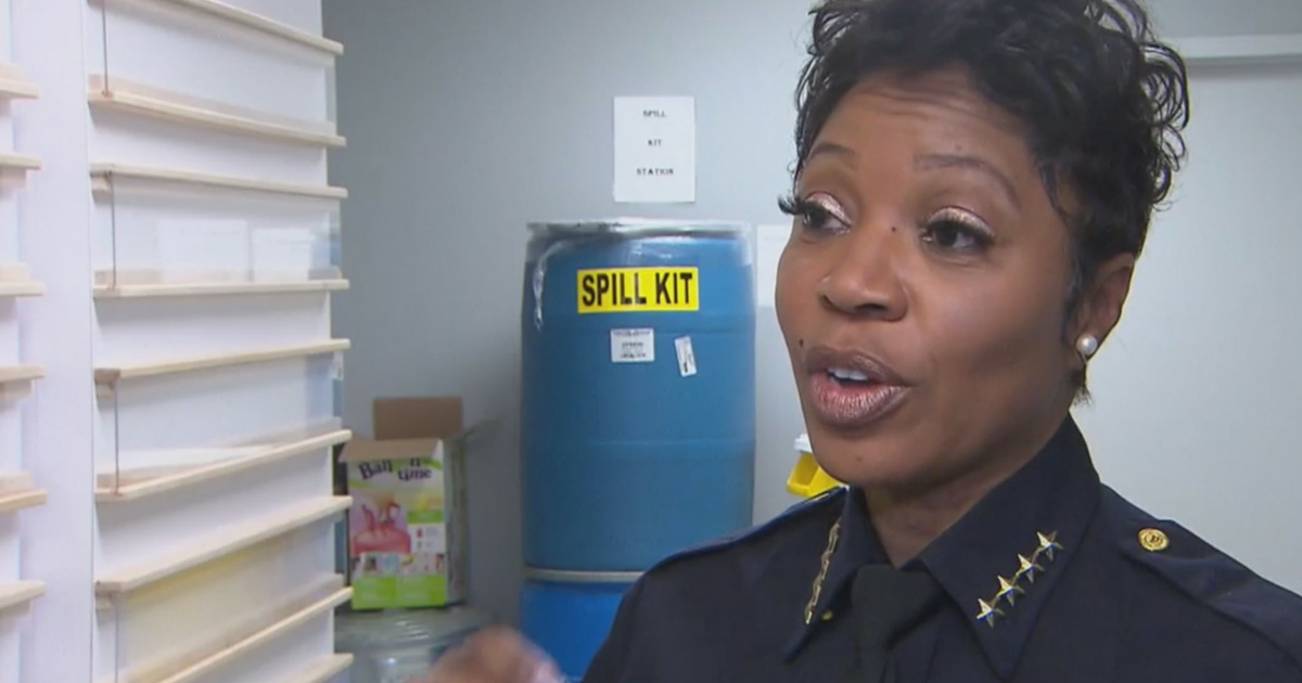 Dallas Police Chief Renee Hall Says Summer Crime Initiative Made ...