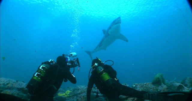 2010: Anderson Cooper meets the "Sharkman" - CBS News