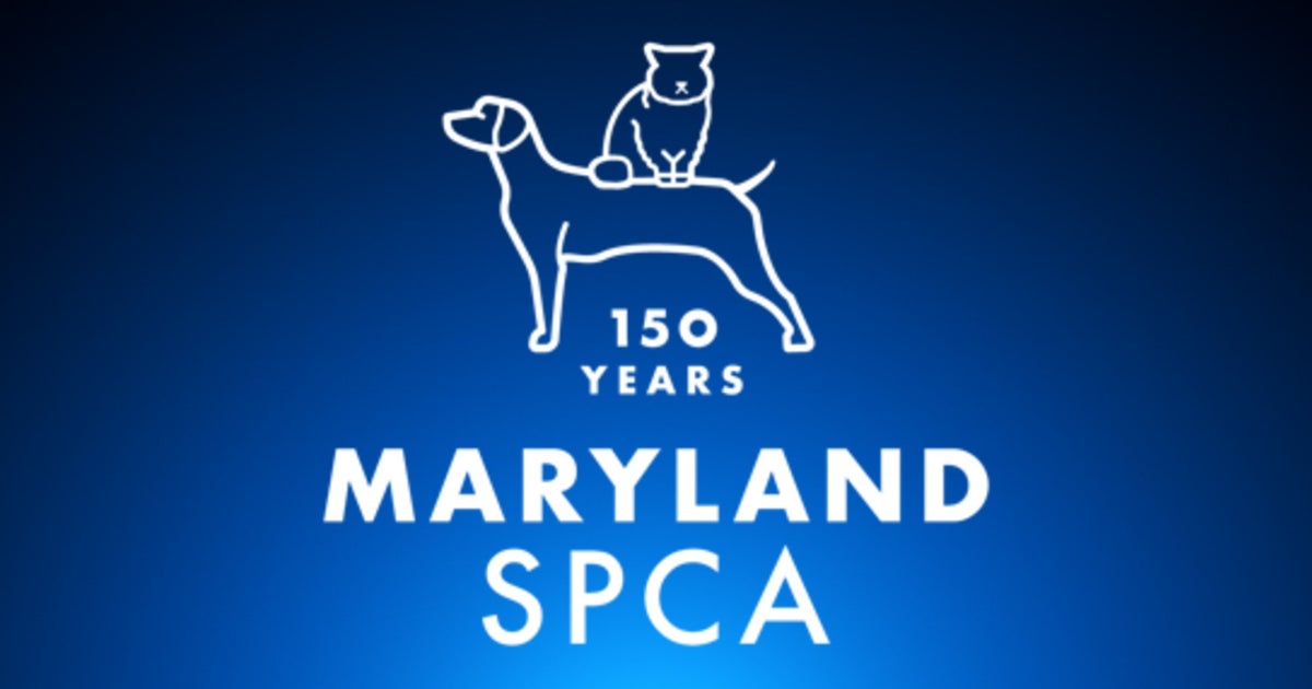 Maryland SPCA Celebrates 150 Years With Special Week Of Events - CBS ...