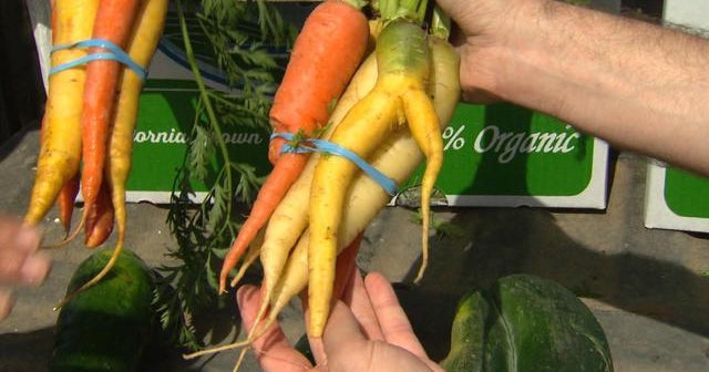 Is "ugly produce" the key to our food waste problem? - CBS News