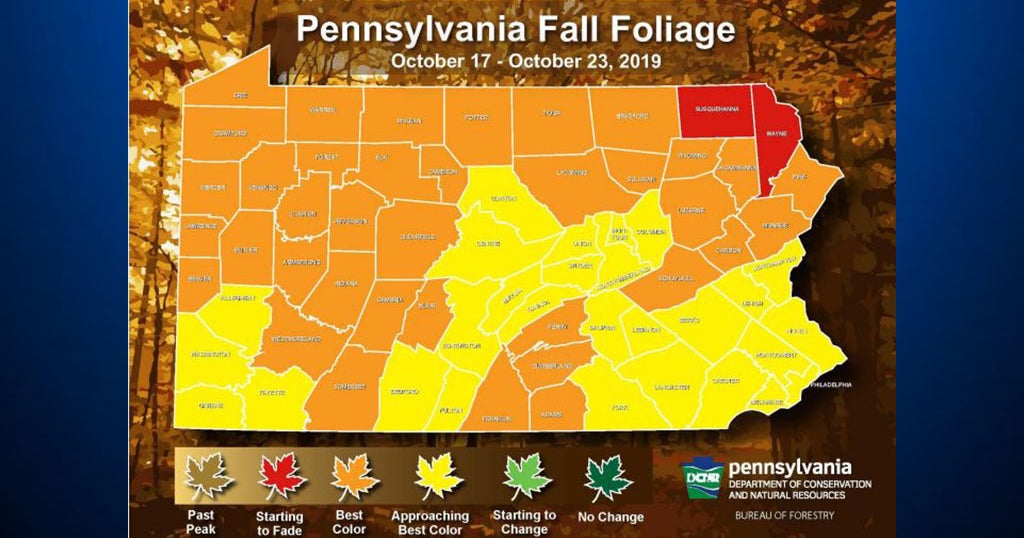 Check It Out! Pennsyvlania Fall Foliage Is In Full Effect - CBS Pittsburgh