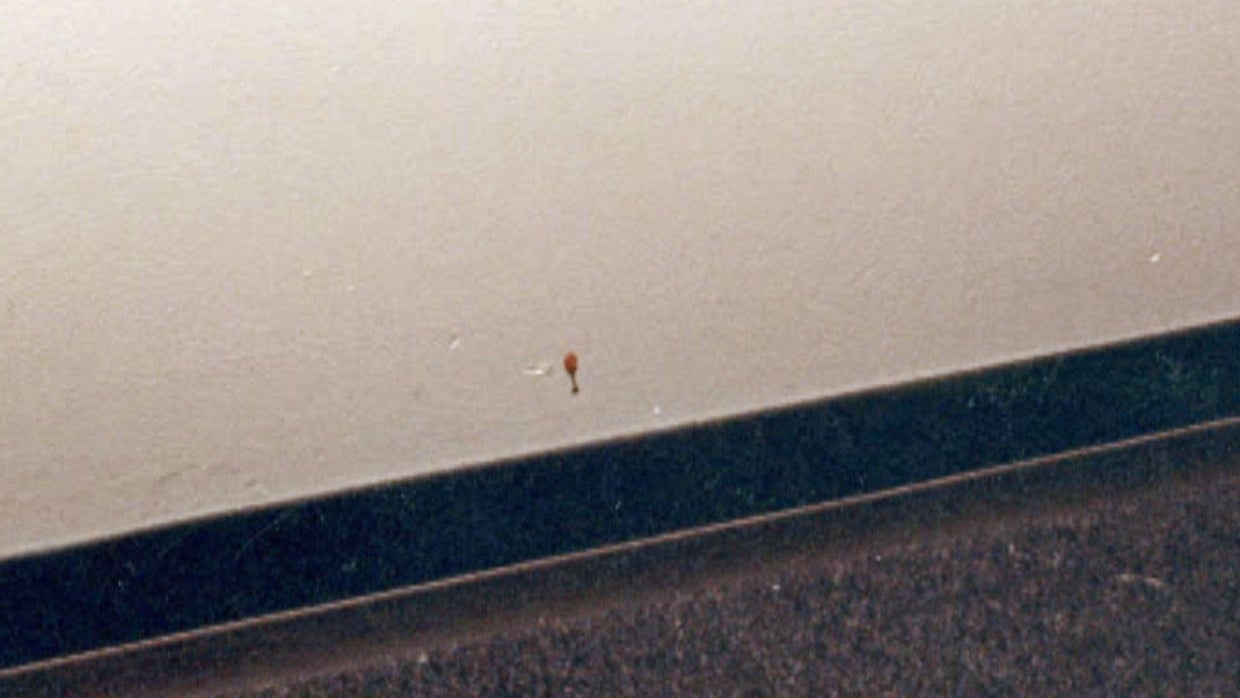 Howard Pilmar murder: Was the stabbing death of NYC millionaire a ...