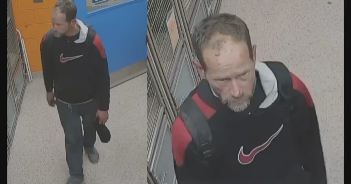Newly-Released Surveillance Video Shows Man Wanted For Stealing Puppy ... Newly-Released Surveillance Video Shows Man Wanted For Stealing Puppy ...