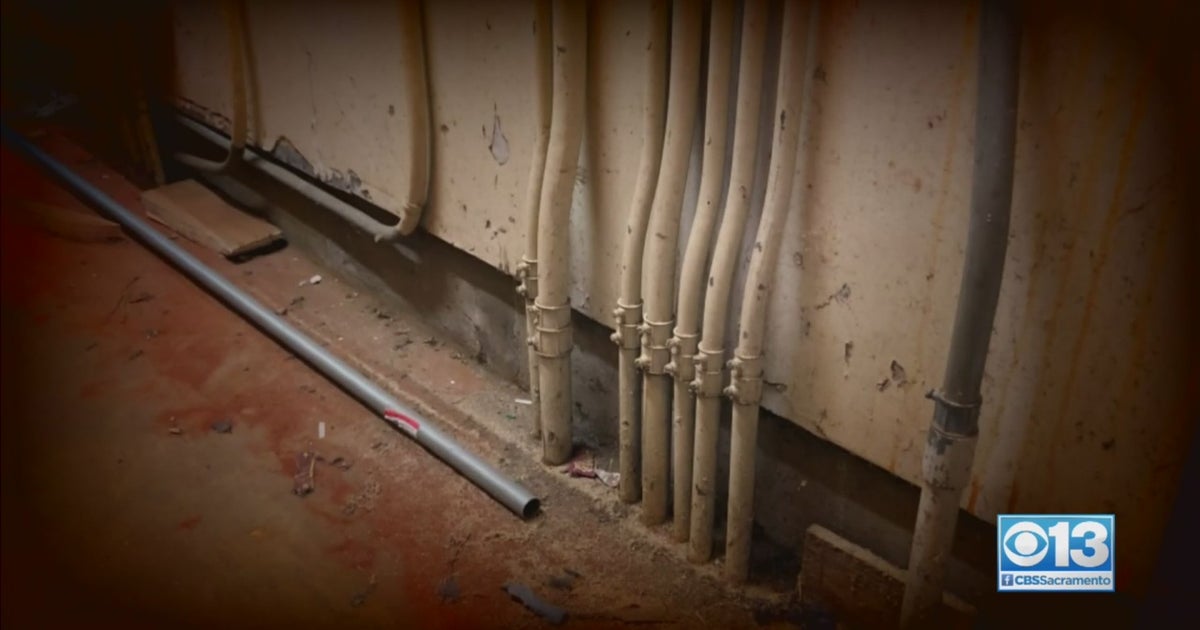 Hidden Toxic Mold Lurking In Schools: Why No One Is Testing - CBS ...