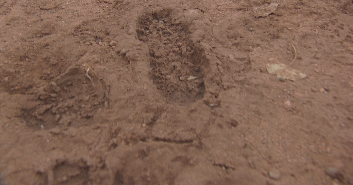 U.S. Forest Service Warns Of Unstable Trails In Colorado After Rains ...