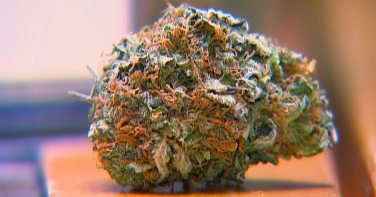 New Jersey Will Begin Recreational Marijuana Sales On April 21 - CBS ...