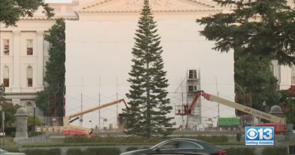 Governor And First Partner Lighting California Christmas Tree December ...