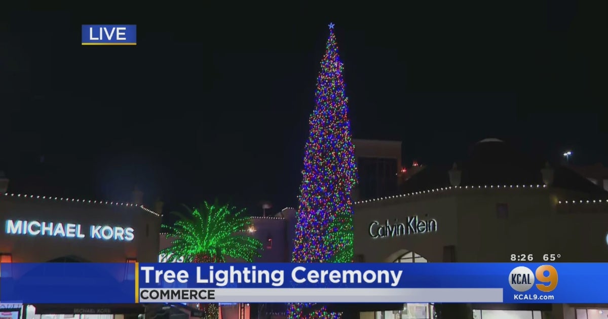 The World's Tallest Live-Cut Christmas Tree Lights Up At Citadel ...