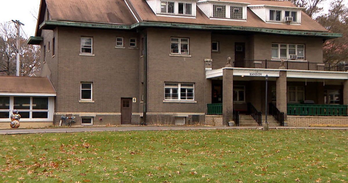 Little Friends Organization Says It Needs To Move From Naperville ...