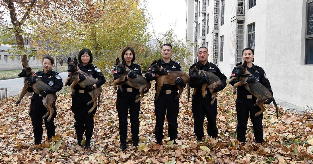 Cloned police dogs welcomed to Beijing's security forces in China - CBS ...