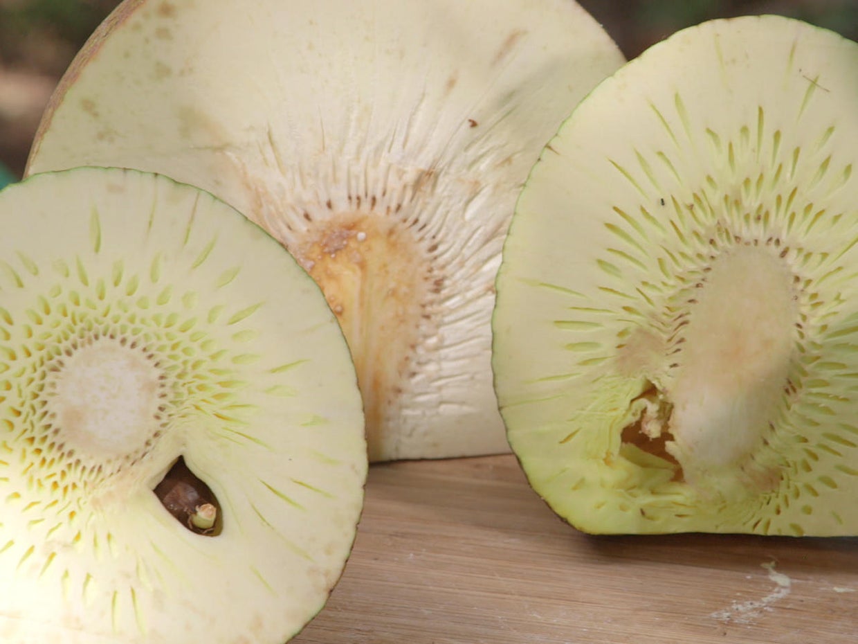 Recipe: Breadfruit Fries - CBS News