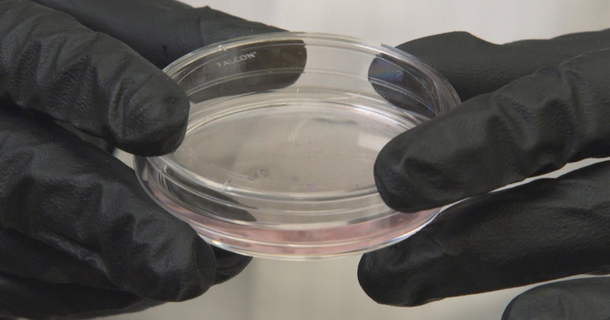 George Church: The complicated ethics of genetic engineering - 60 ...