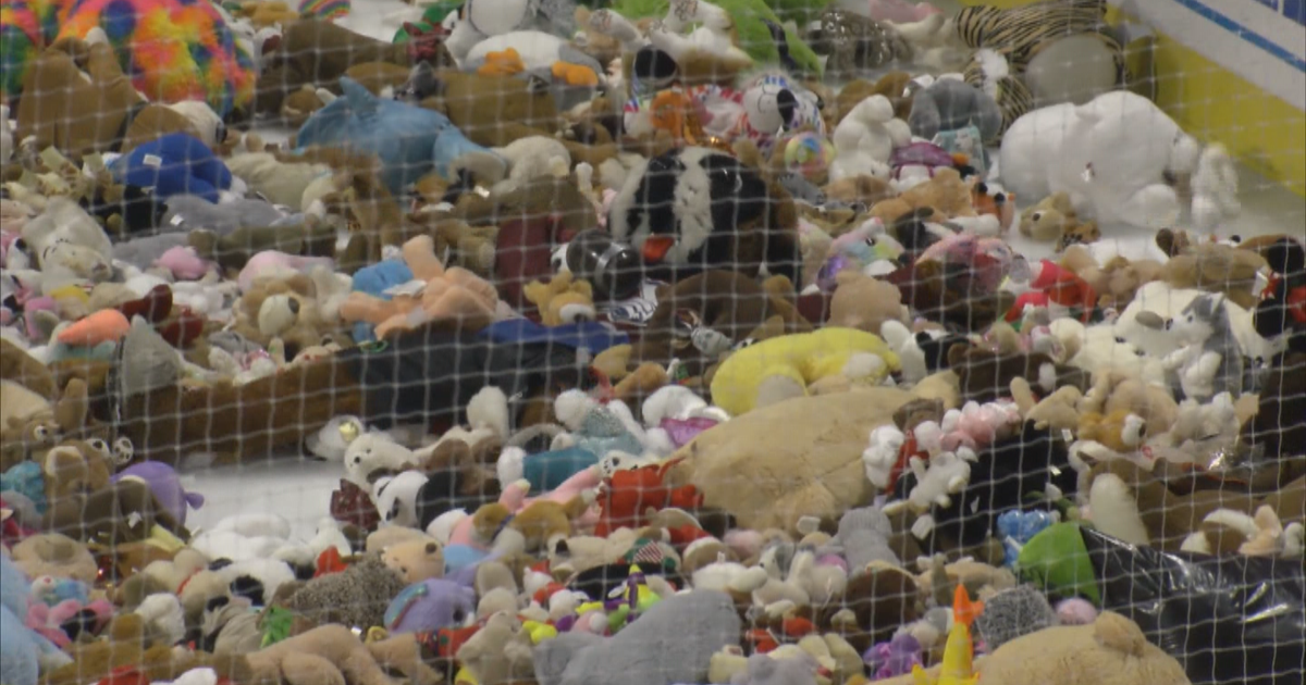 Teddy Bears Rain Down Onto Colorado Eagles Ice Rink - CBS Colorado
