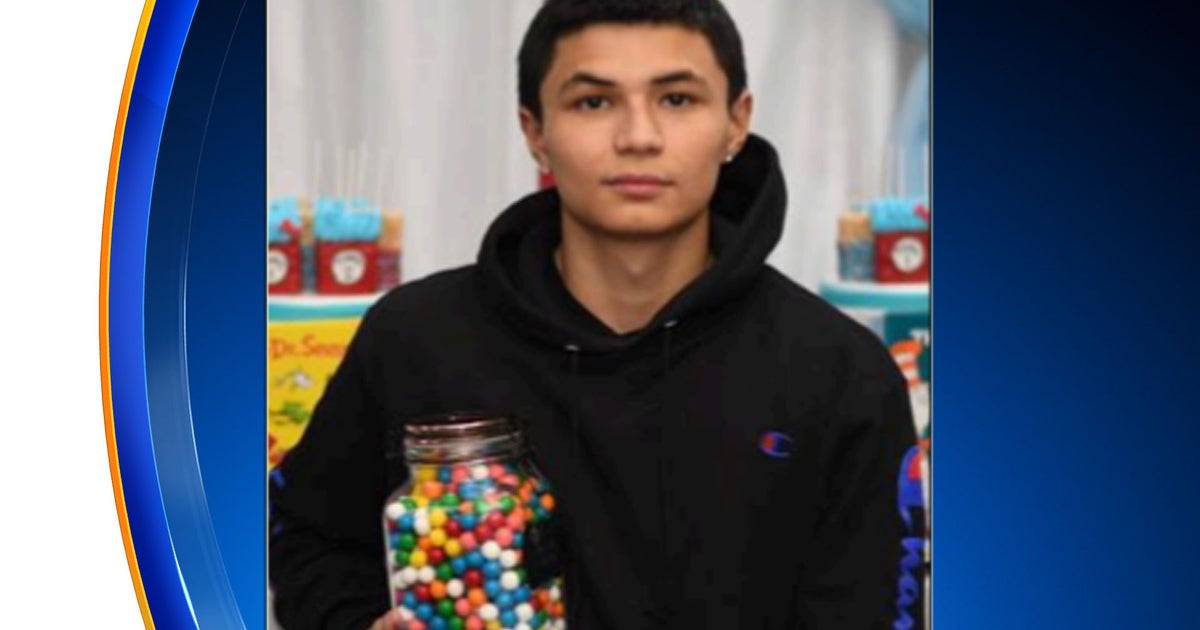 MISSING: David Alvarado, 16, Last Seen In West Elsdon - CBS Chicago