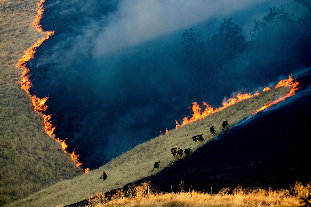 Top photos of 2019: The year in pictures